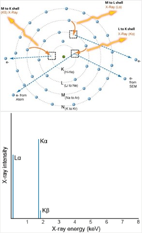 XRF (X-ray Fluorescence Spectrometer)光譜分析原理 - 利泓科技 | 提供解決方案的專家：前處理設備、分析 ...